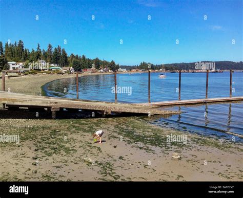 Manchester Wa Usa July 13 2018 Person Picks Up Shells On The