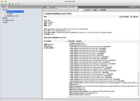Openjdk 17 启动异常 · Issue 2 · Beansoftvisualgcidea · Github