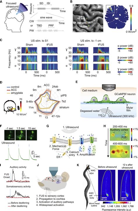Ultrasound Technologies For Imaging And Modulating Neural Activity Neuron