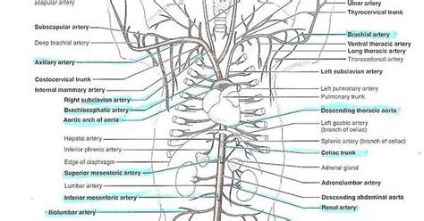 Networks Album On Imgur