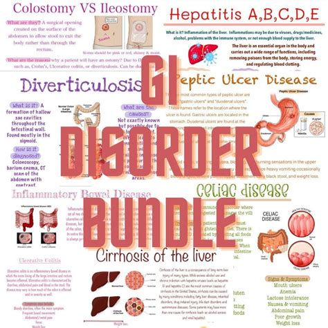 Gi Disorder Notes Bundle Study Guide Digital Download Artofit