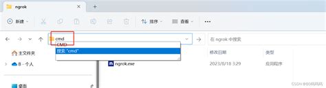 三分钟使用ngrok实现项目本地部署公网访问（内网穿透） csdn博客