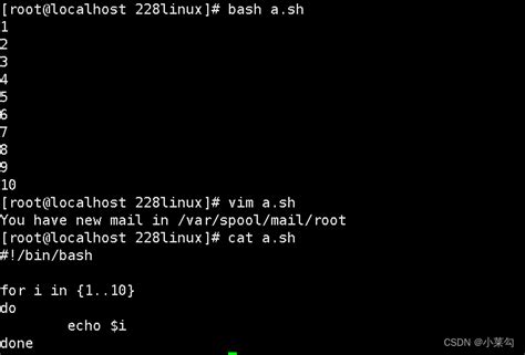 Shell编程基础：变量管理、数据类型、算术运算与流程控制 Csdn博客