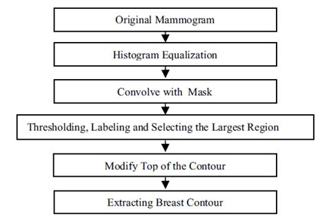 Breast Region Extraction Download Scientific Diagram