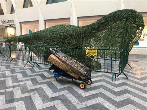 The Jurassic Trail Duncan Craig