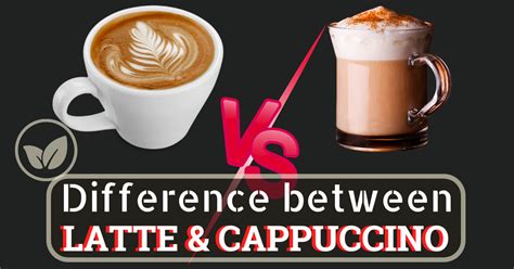 Difference Between Latte And Cappuccino