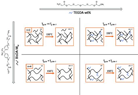 Schematic Representation Of The Crosslinked Network Structures As A Download Scientific Diagram