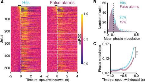Orbitofrontal Cortex Modulates Auditory Cortical Sensitivity And Sound Perception In Mongolian