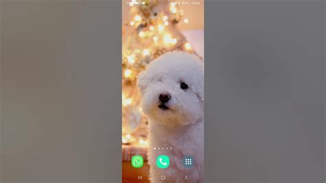 Как поменять цвет в шрифта Whatsapp Youtube