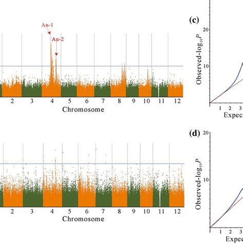 Simulation Of Different Sequence Coverage In Different Populations To Download Scientific
