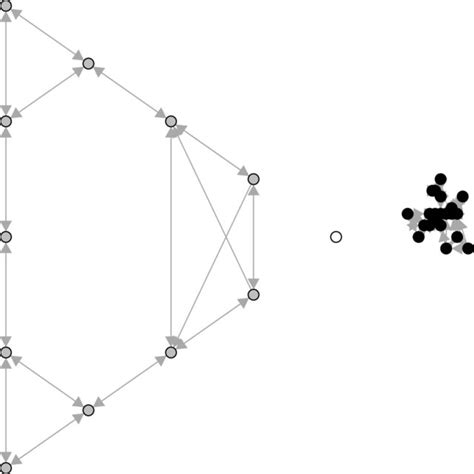kaog network obtained from line i data set in which gray class data