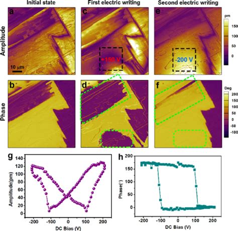 Polarization Switching For The Thin Film Of 1e By Electric Field Download Scientific Diagram