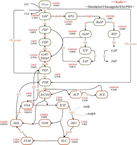 An Enhanced Segment Particle Swarm Optimization Algorithm For Kinetic Parameters Estimation Of