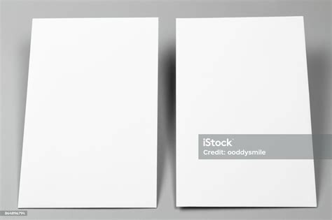 빈 초상화입니다 변경 배경 회색에 고립 된 백서 아이덴티티 디자인 기업 서식 회사 스타일 소책자 빈 흰색 접는 종이 전단지의 설정 0명에 대한 스톡 사진 및 기타 이미지