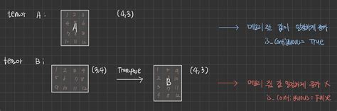 Theory view reshape 차이 Develop Record