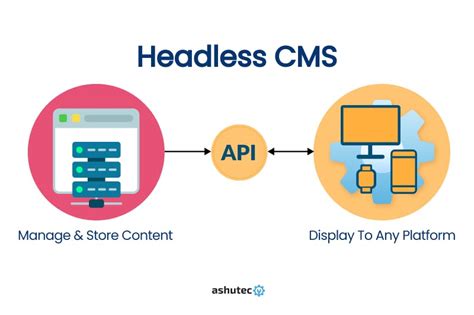 Understanding The Concept Of Cms And Its Pros And Cons