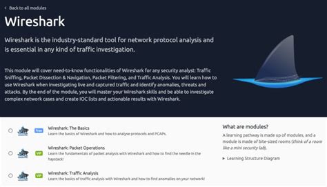 New Blue Module Dive Deep With Wireshark This Module Has Everything You… Tryhackme 23 Comments