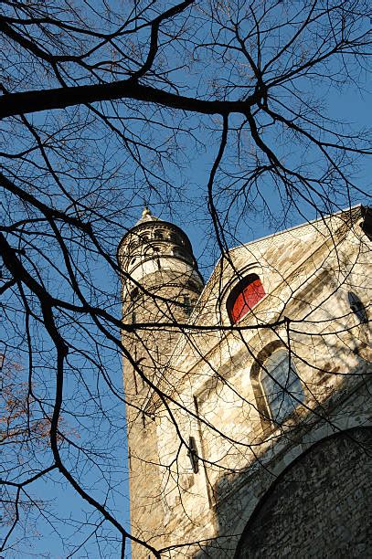 10 Criptas De Lieberkuhn Fotos Fotos De Stock Imagens E Fotos Royalty Free Istock