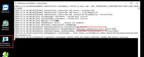 preview video stream failed via ivmsclient
