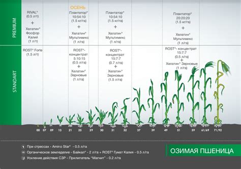 Удобрение Плантатор 20 20 20 5 кг для растений Ua