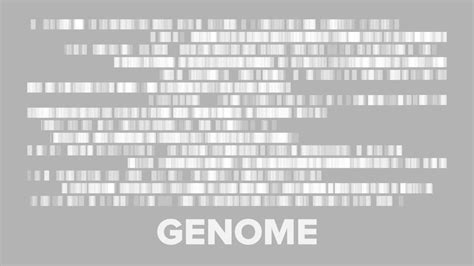 Horizontal Big Genomic Data Visualization Vector 17562338 Vector Art At Vecteezy