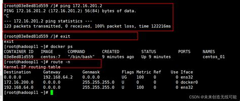 使用docker 容器 跨主机访问 实操 访问别的服务器的docker Csdn博客