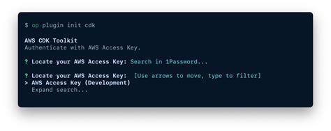 Use 1password To Authenticate The Aws Cdk Toolkit 1password Developer