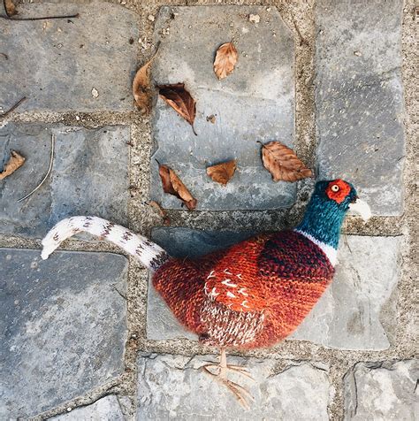 Knitting Pattern Pheasant Etsy Uk