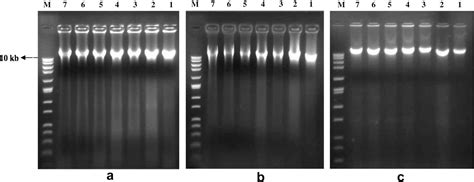 Figure 1 From Comparisons Of Direct Extraction Methods Of Microbial Dna From Different Paddy