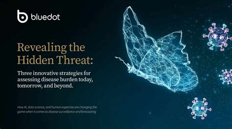 Innovative Strategies For Assessing Disease Burden Ebook Bluedot