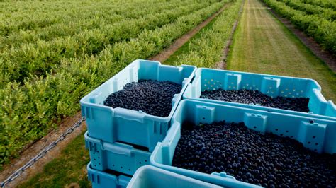 How Our Customers Use Our Forecasting Tools