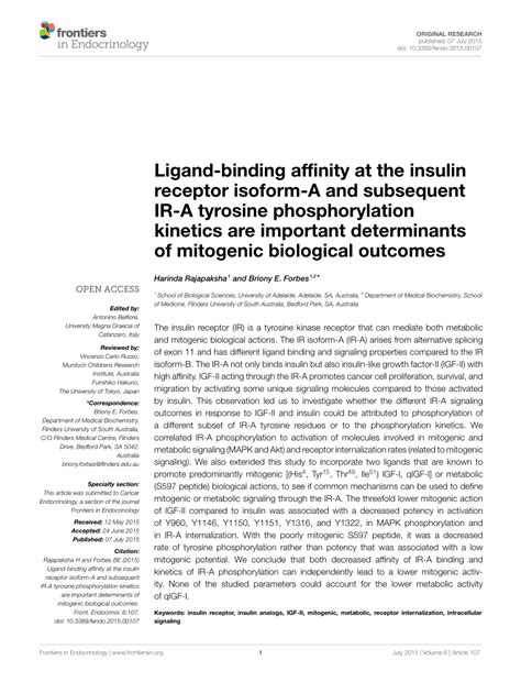 Pdf Ligand Binding Affinity At The Insulin Receptor Isoform A And Subsequent Ir A Tyrosine