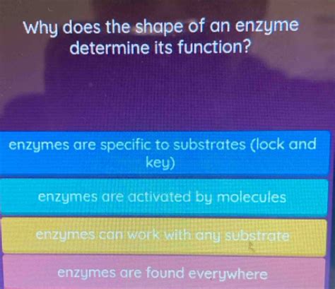 Solved Why Does The Shape Of An Enzyme Determine Its Function Enzymes Are Specific To