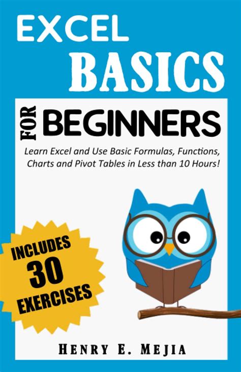 Buy Excel Basics For Beginners Learn Excel And Use Basic Formulas Functions Charts And Pivot