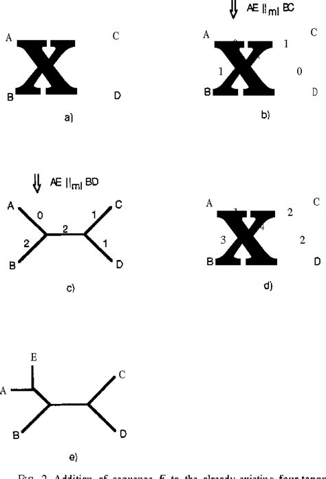 Transversion Mutation Semantic Scholar