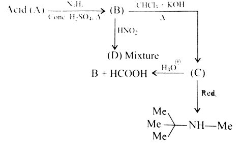 identify a b c and d