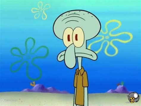 باب اسفنجی در کلاس رانندگی فیلو