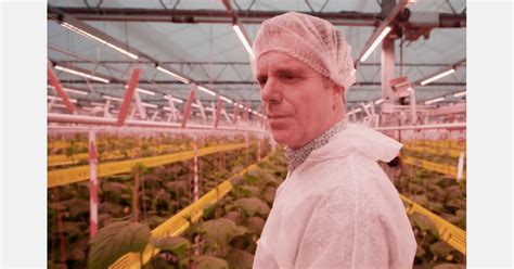data driven cucumber cultivation