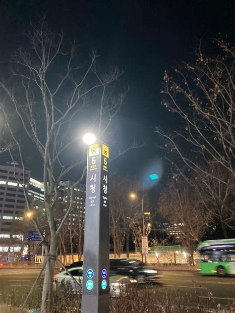 [시청] 서울광장 스케이트장 방문 후기 예약 이용방법 네이버 블로그