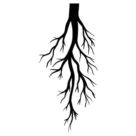 Doodle Sketch Style Of Tree Root Vector Illustration For Concept Design