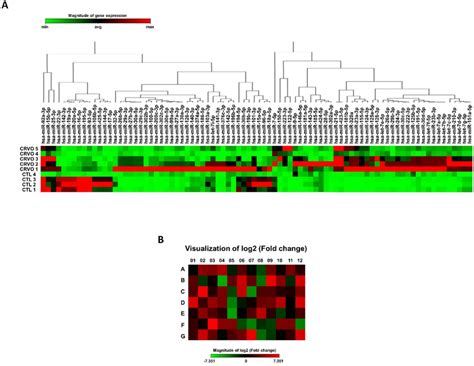 Mir Pcr Array