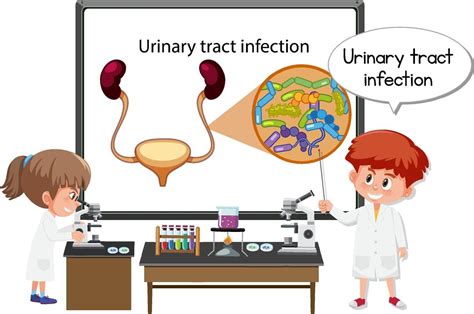 Young Doctor Explaining Urinary Tract Infection 3362655 Vector Art At