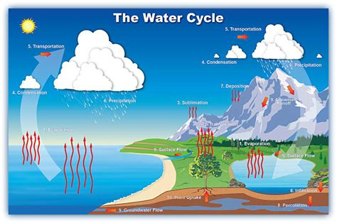 Hydrologic Cycle Earths Natural Water Cycle How It Works