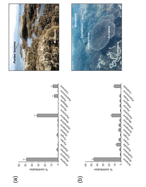8 Average Relative Contribution Of Coral Genera To The Overall