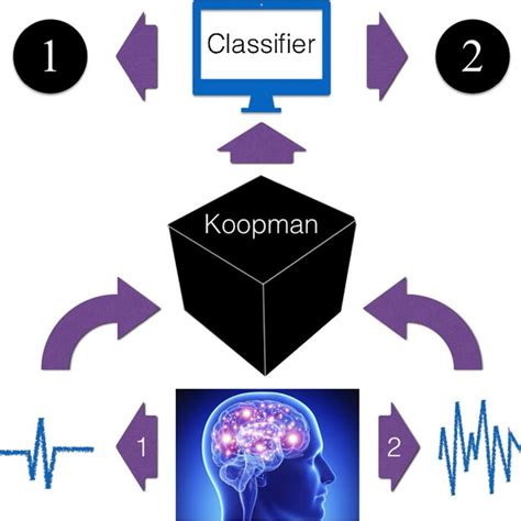 An Illustration Of The Application Of Koopman Framework To Brain Download Scientific Diagram