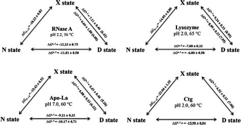 Rna Denaturation Plos One