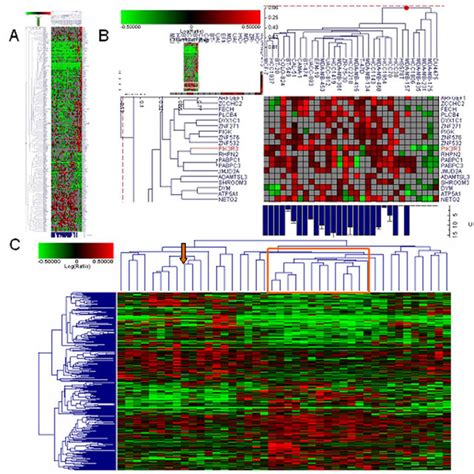 Heat Map Results From Microarray Analyses A Anova Analysis