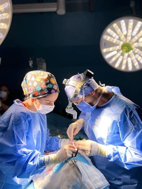 Procedure Vs Workflow Difference And Comparison Prep My Career