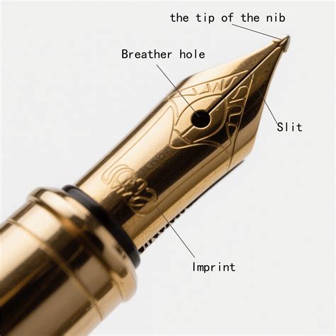 How Does A Fountain Pen Work Ttxpens