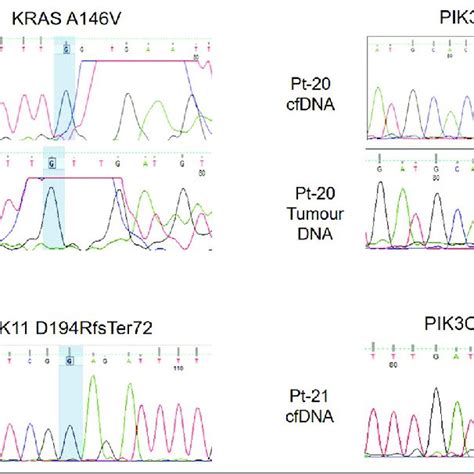 Electropherogram Showing Validation Of Variants Using Sanger